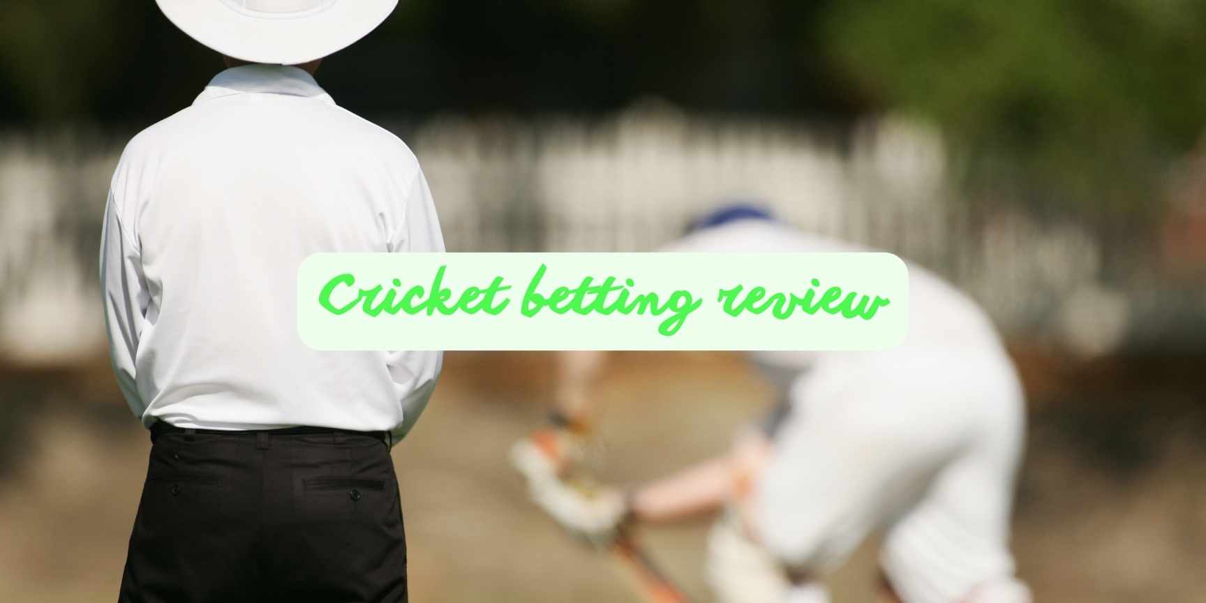Everything you need to know about cricket betting: sites, apps, odds