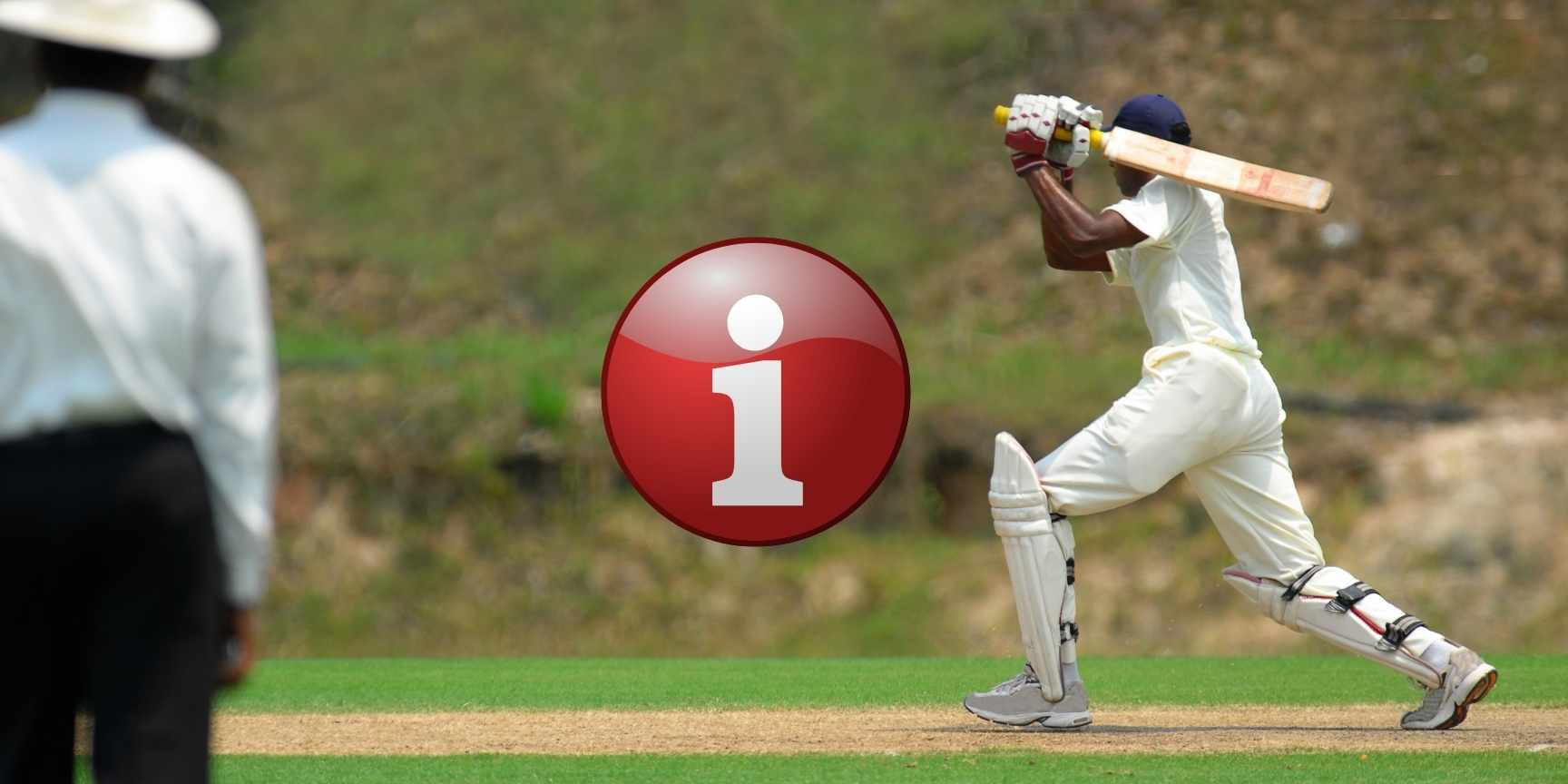 Everything you need to know about cricket betting: sites, apps, odds