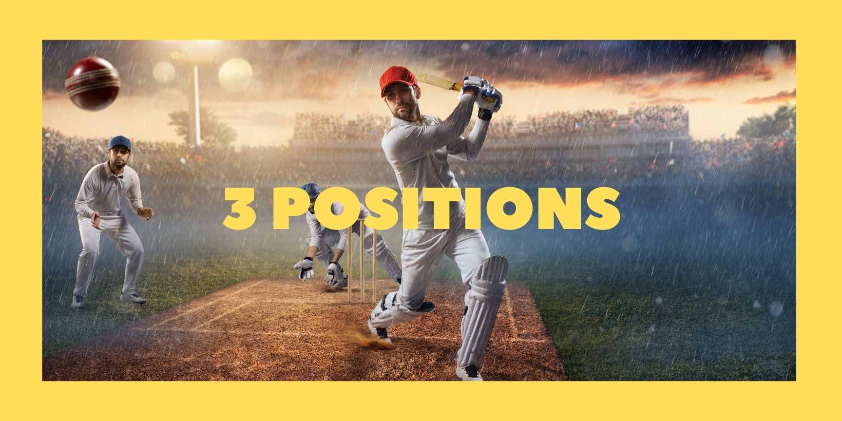 All types of positions in cricket game